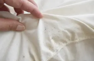 How to Get Mold Out of Your Clothes (The Right Way)